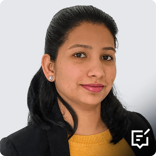 European Union Artificial Intelligence Act: An Auditor’s Perspective