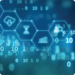 A Fintech Risk Assessment Model