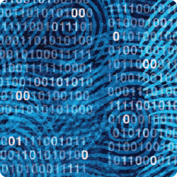 Information Security Matters: Privacy by Implementation and Execution