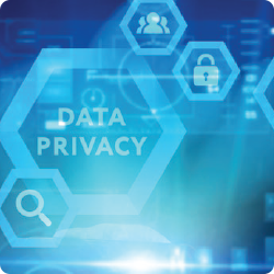 Privacy Risk Management
